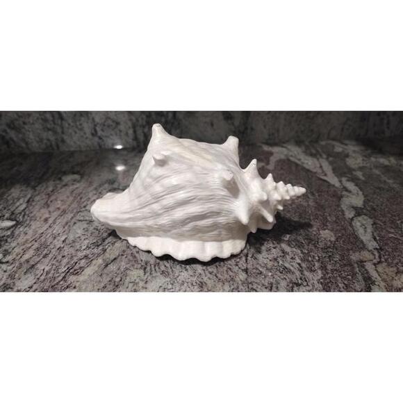 Design | Vintage Ceramic Conch Shell Planter Bowl Atlantic Mold | Poshmark